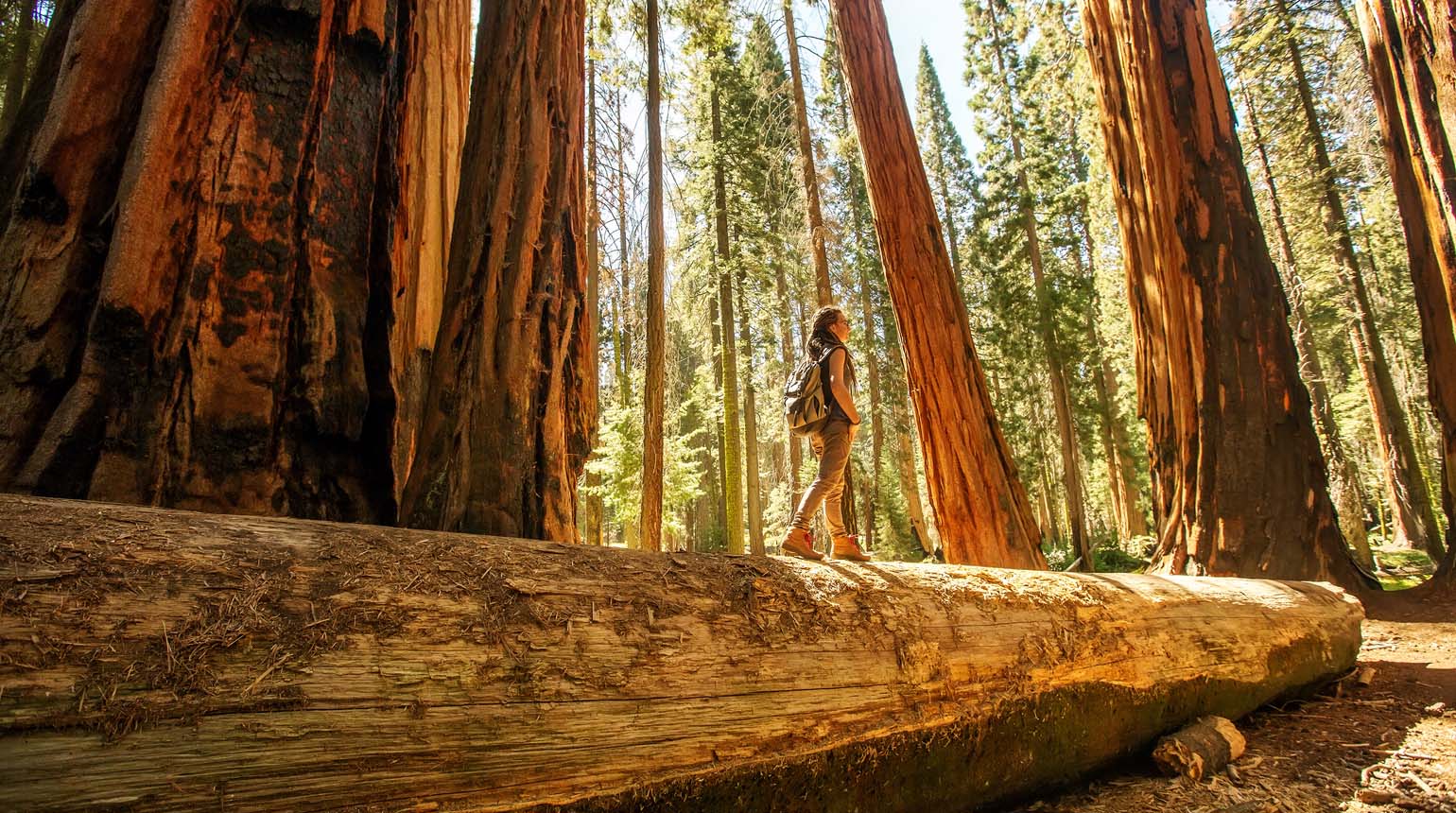 Vacations in the most beautiful national parks in the USA