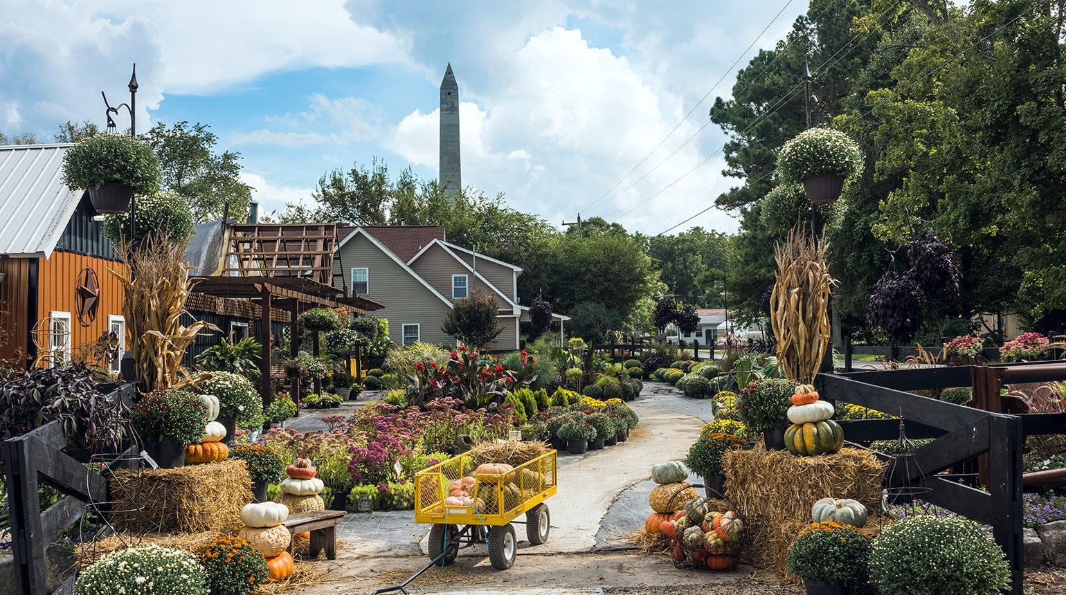 The Best Places to Visit for Halloween in the USA